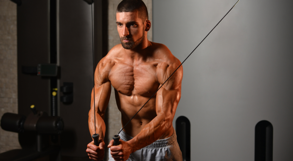 Calisthenics Chest Workout for Strength & Muscle Growth In Organic Way