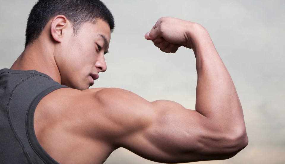 Calisthenics Physique: How to Build It? - Calisthenics Gym