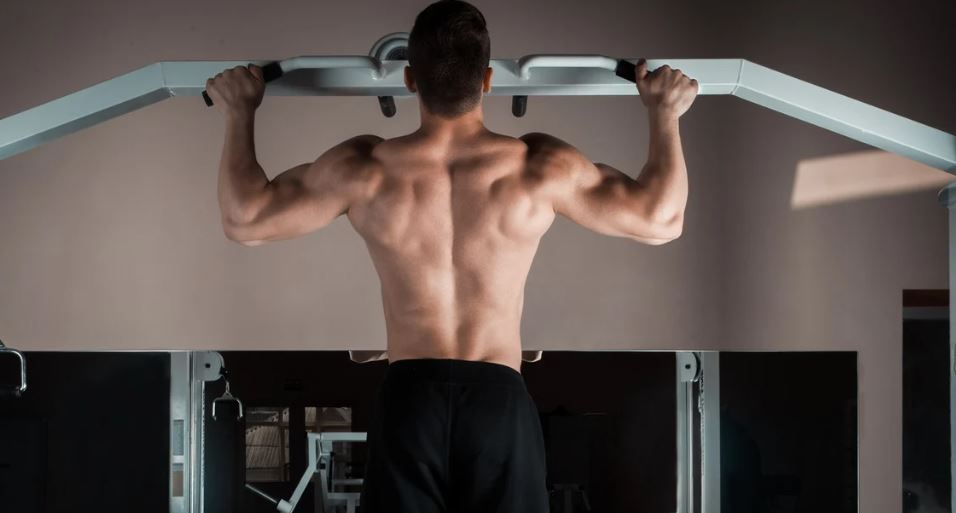 Pull Day Workout: Stronger Back & Biceps - Calisthenics Gym