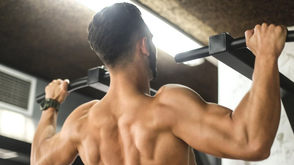 Pull Day Workout: Stronger Back & Biceps - Calisthenics Gym