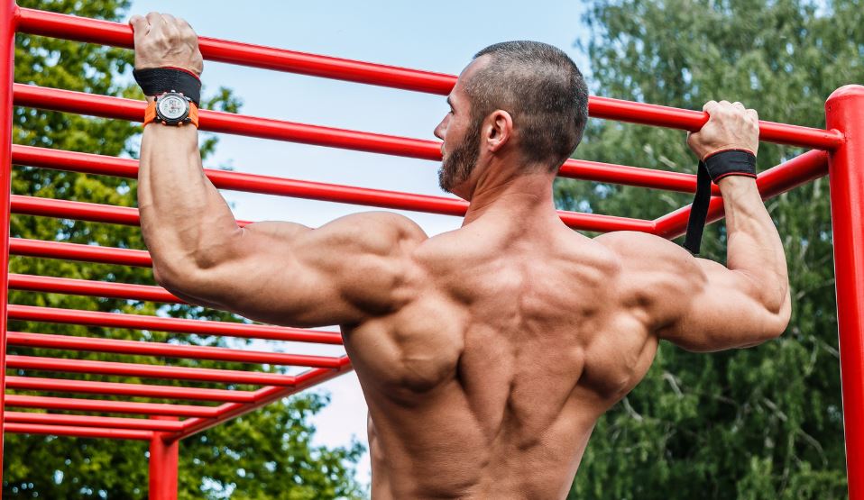 Pull Day Workout: Stronger Back & Biceps - Calisthenics Gym
